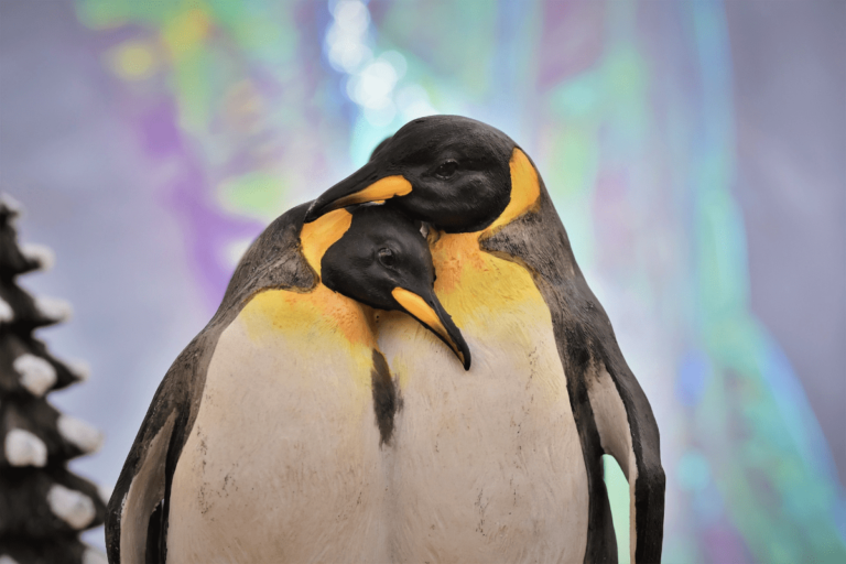 The Power of Love: Top 10 Animals That Mate for Life - primalwildlife.com