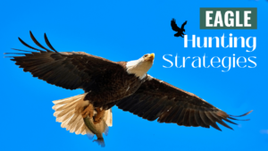 Eagle Strategies Explained: The Secrets Behind Their Hunting Techniques ...