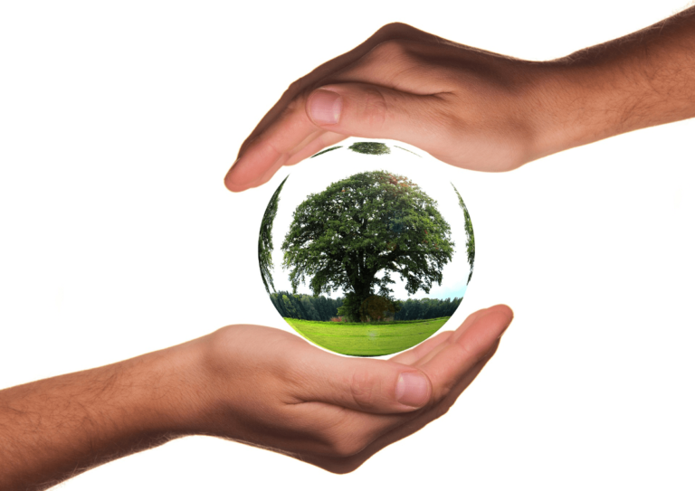 Understanding Animal Conservation Status: 7 Key Categories You Should ...