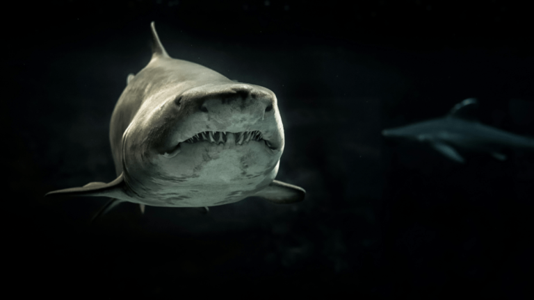 What Animal Has the Strongest Bite Force? Top 15 Animals with the ...
